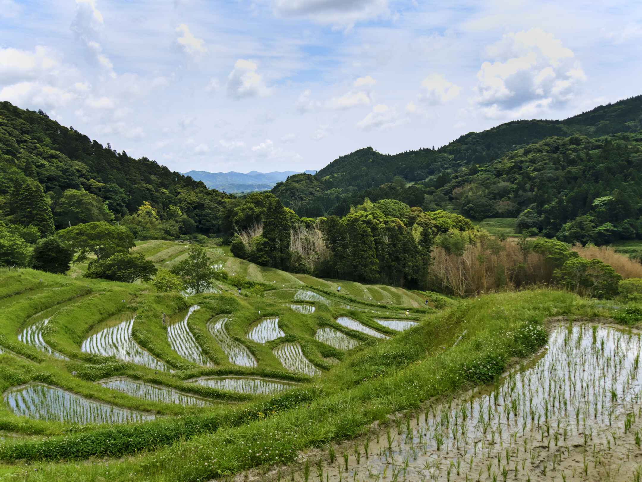 A Ride Around Boso Peninsula: Rice Paddies and Surfers – 82rpm